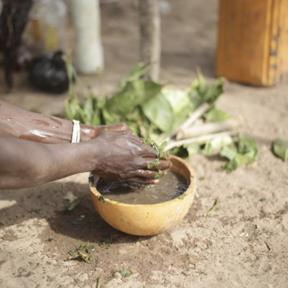 Spring Cleaning: The Indigenous Way – Ankhkasta Natural Healing