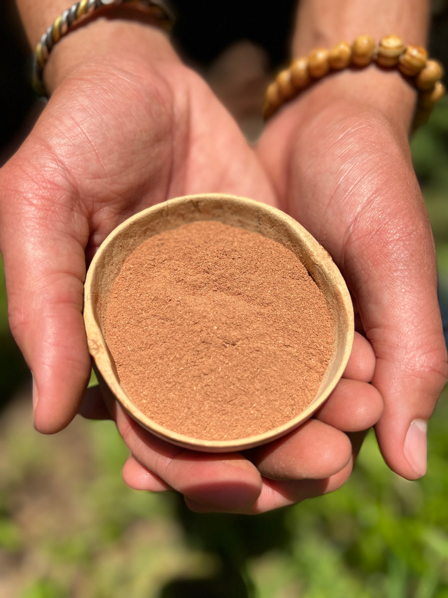 Coco: Digestive Wound Repair - Ankhkasta Natural Healing